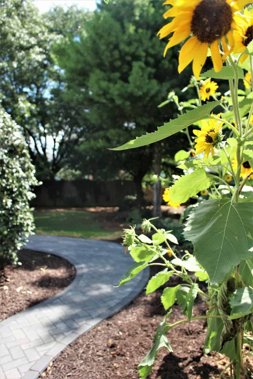 Project Highlight: The Windy Way | Rosenbaum's Landscaping and Nursery